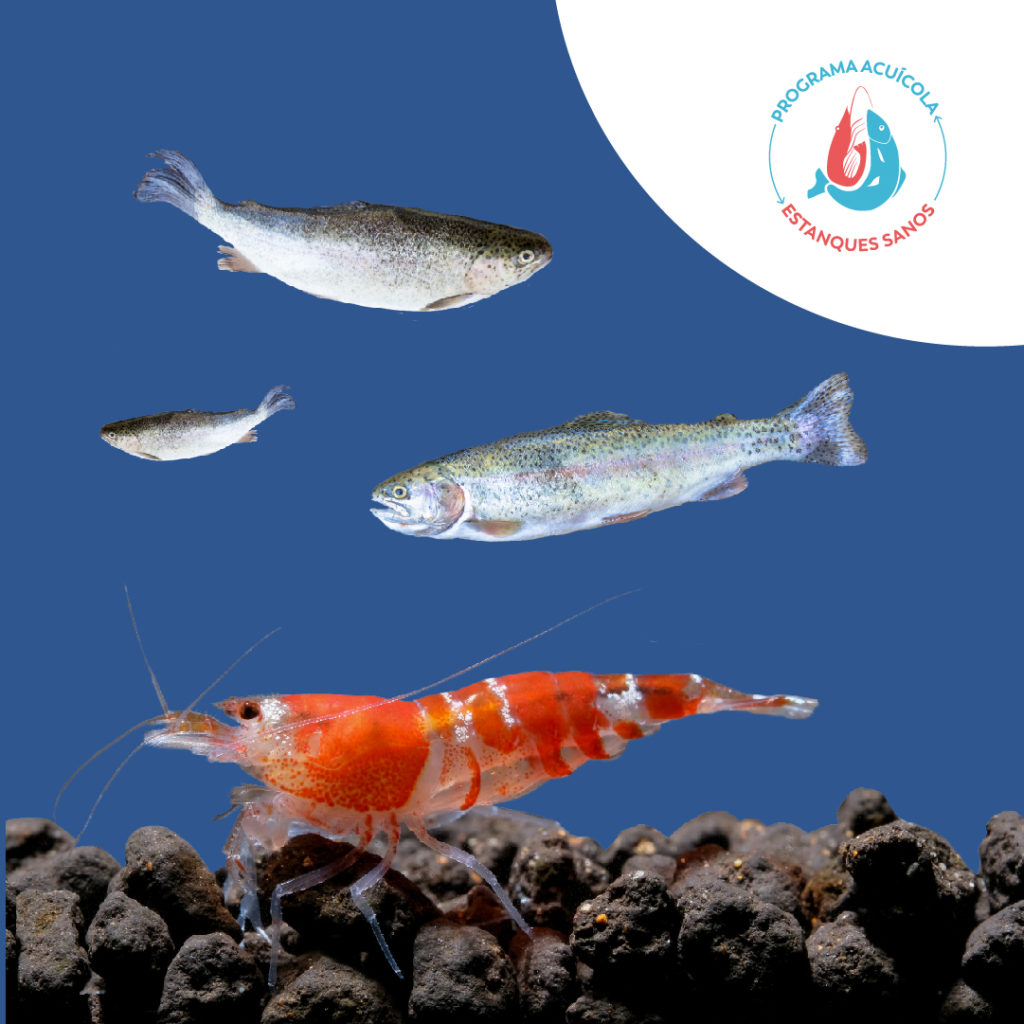 Home - Orius Biotech