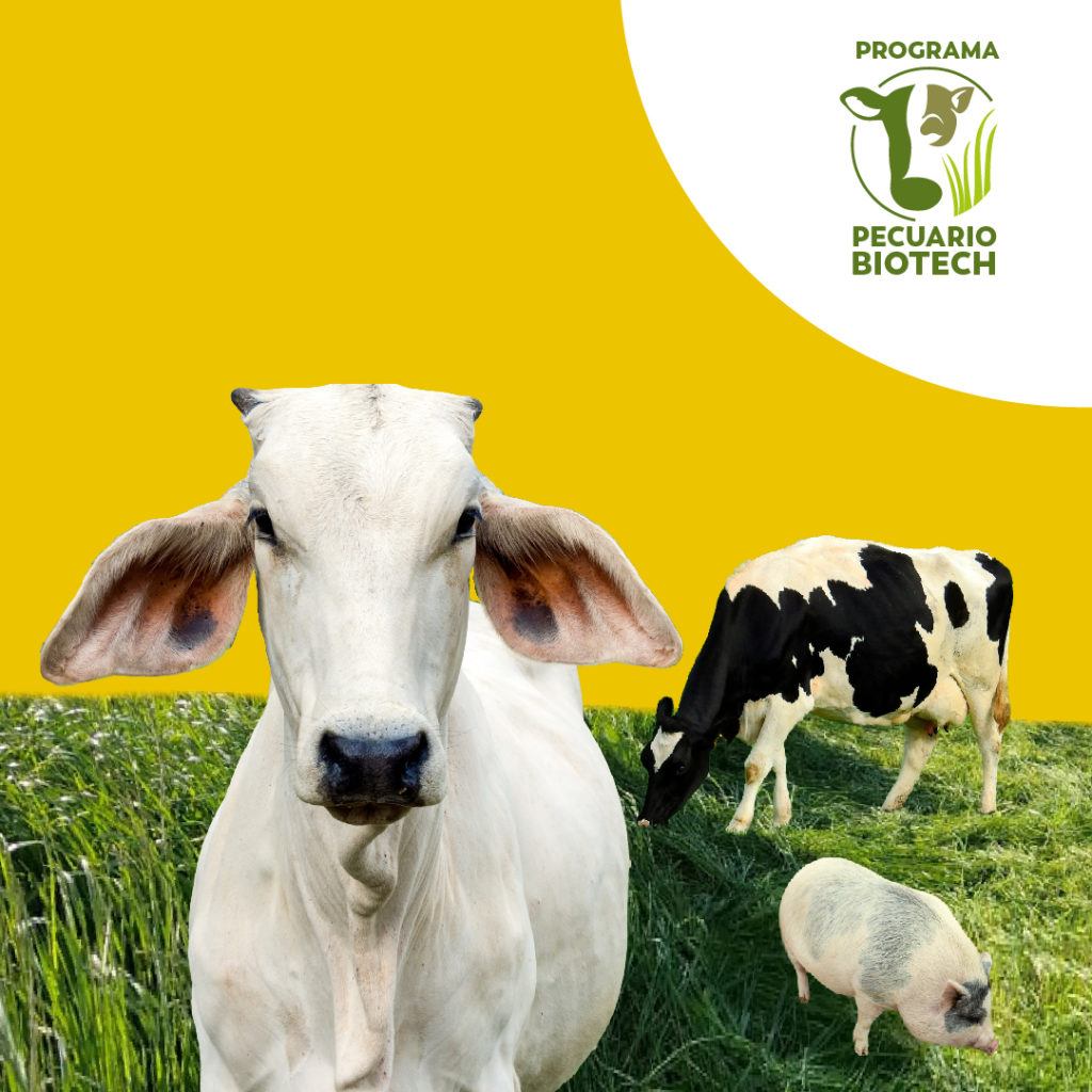 Home - Orius Biotech